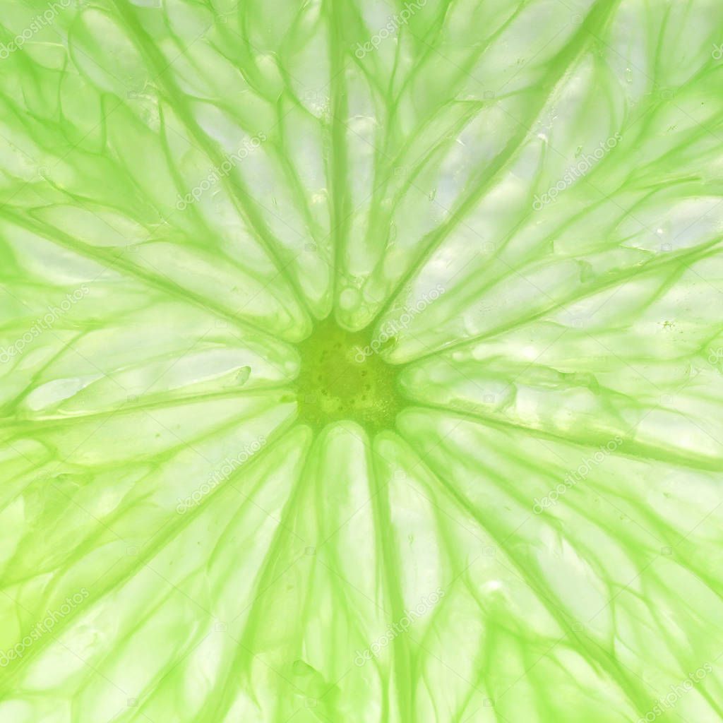 rodaja de lima verde (Citrus x latifolia) aka lima persa o Shiraz Limoo ...