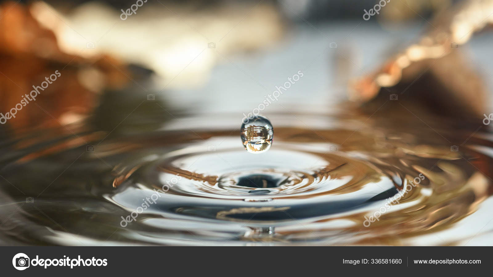 Drop Water Dripping Water Background Autumn Leaves Close Stock Photo by ...