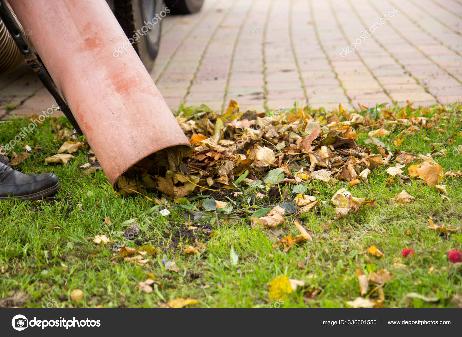 Worker Clearing Leaves Using Leaf Blower Tool Stock Photo by ...