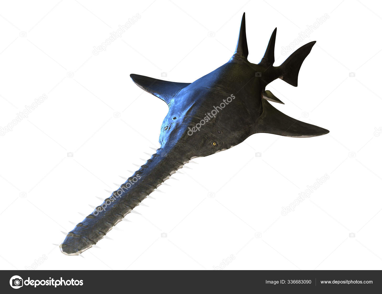 Giant Sawfish