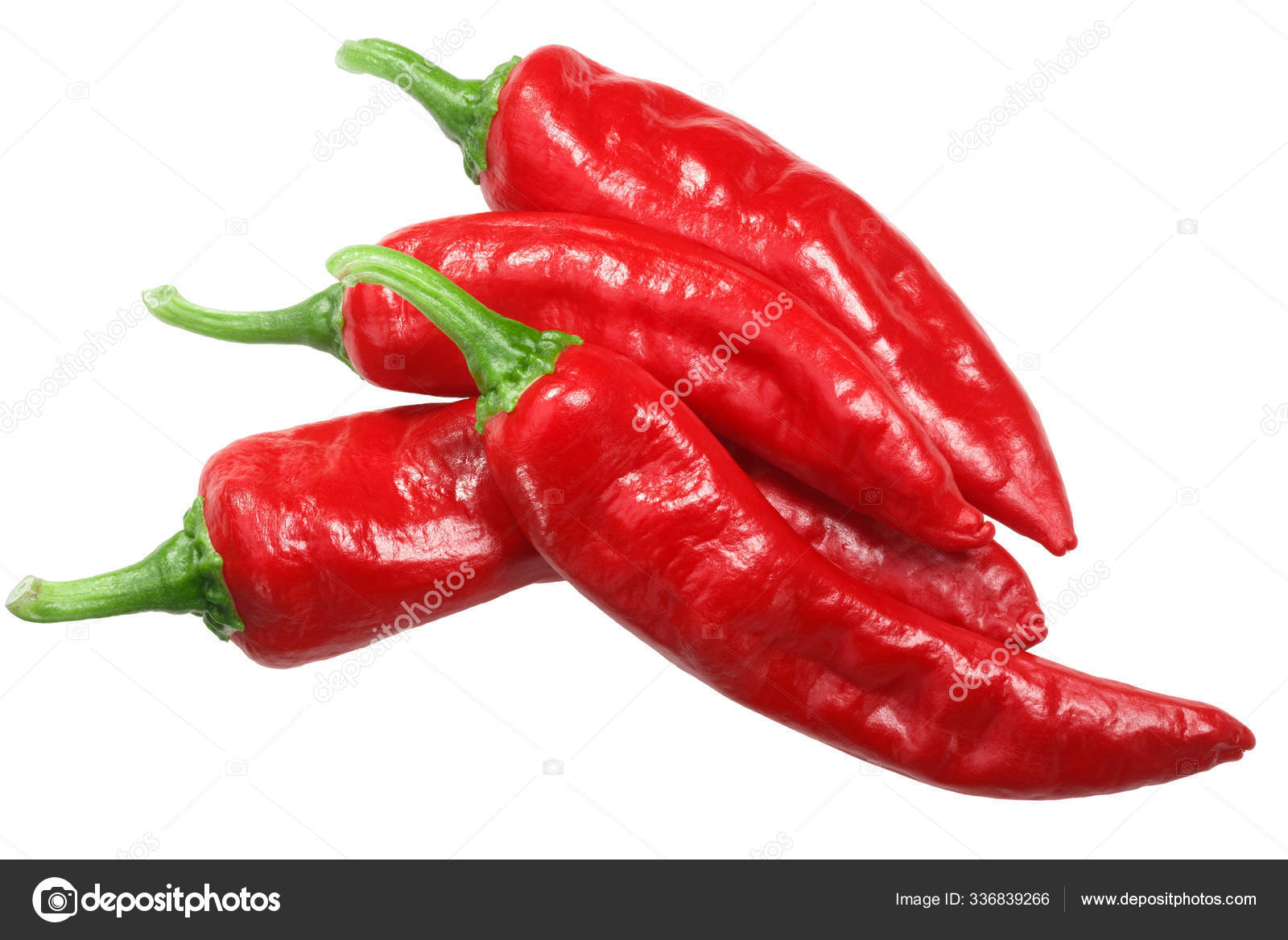 Aleppo Pepper Capsicum Annuum Fresh Overripe Whole Pods Top View ...