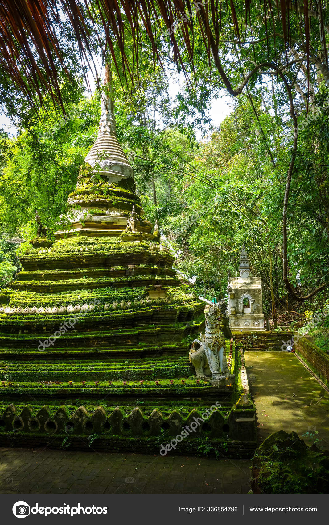 Wat Palad Temple Stupa Jungle Chiang Mai Thailand — Stock Photo ...
