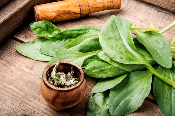 Cataplasme images libres de droit, photos de Cataplasme | Depositphotos