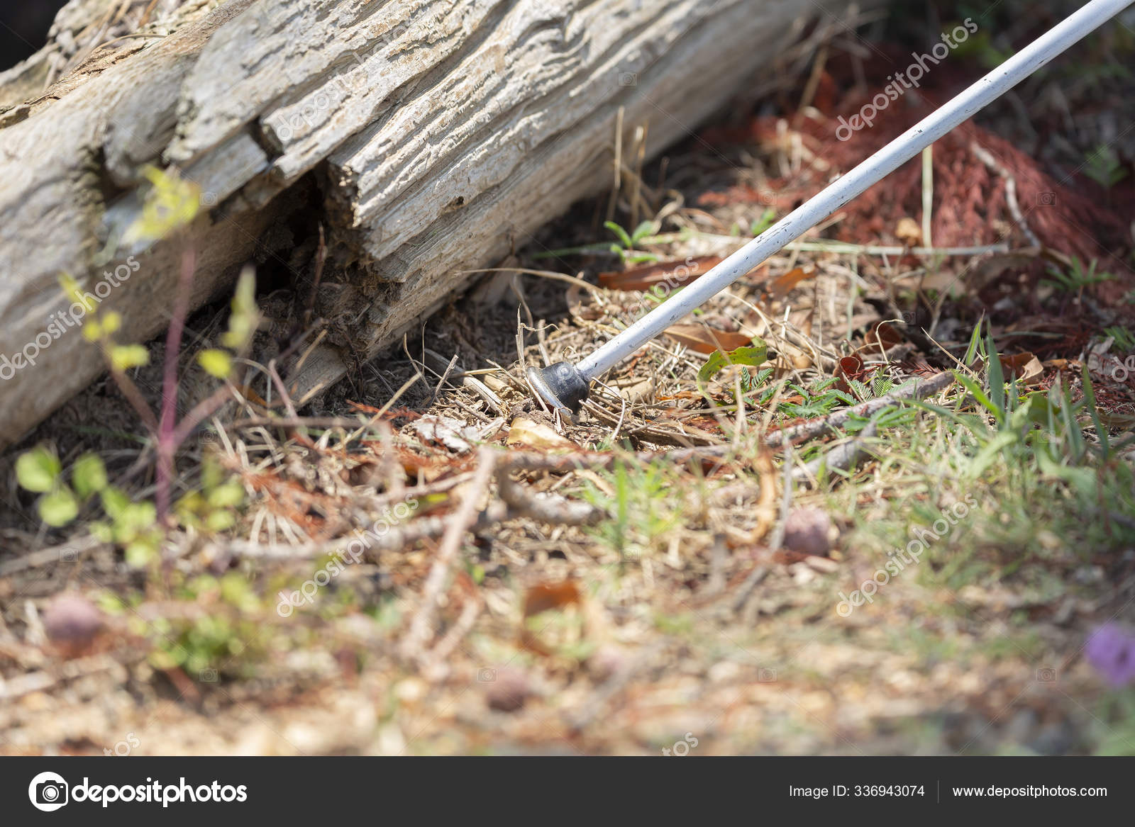 Cane Log Blocking Trail Stock Photo by ©PantherMediaSeller 336943074