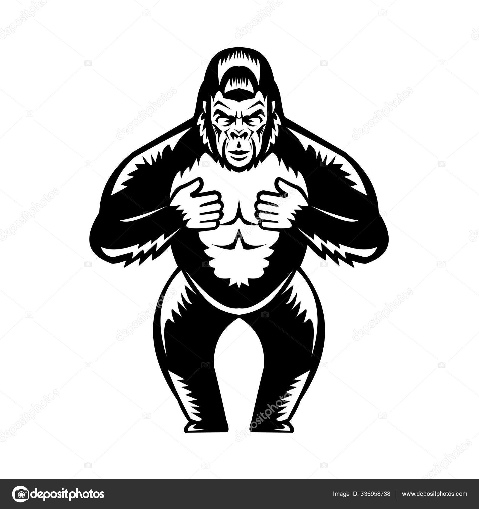 Retro Woodcut Style Illustration Silverback Gorilla Thumping Beating It ...