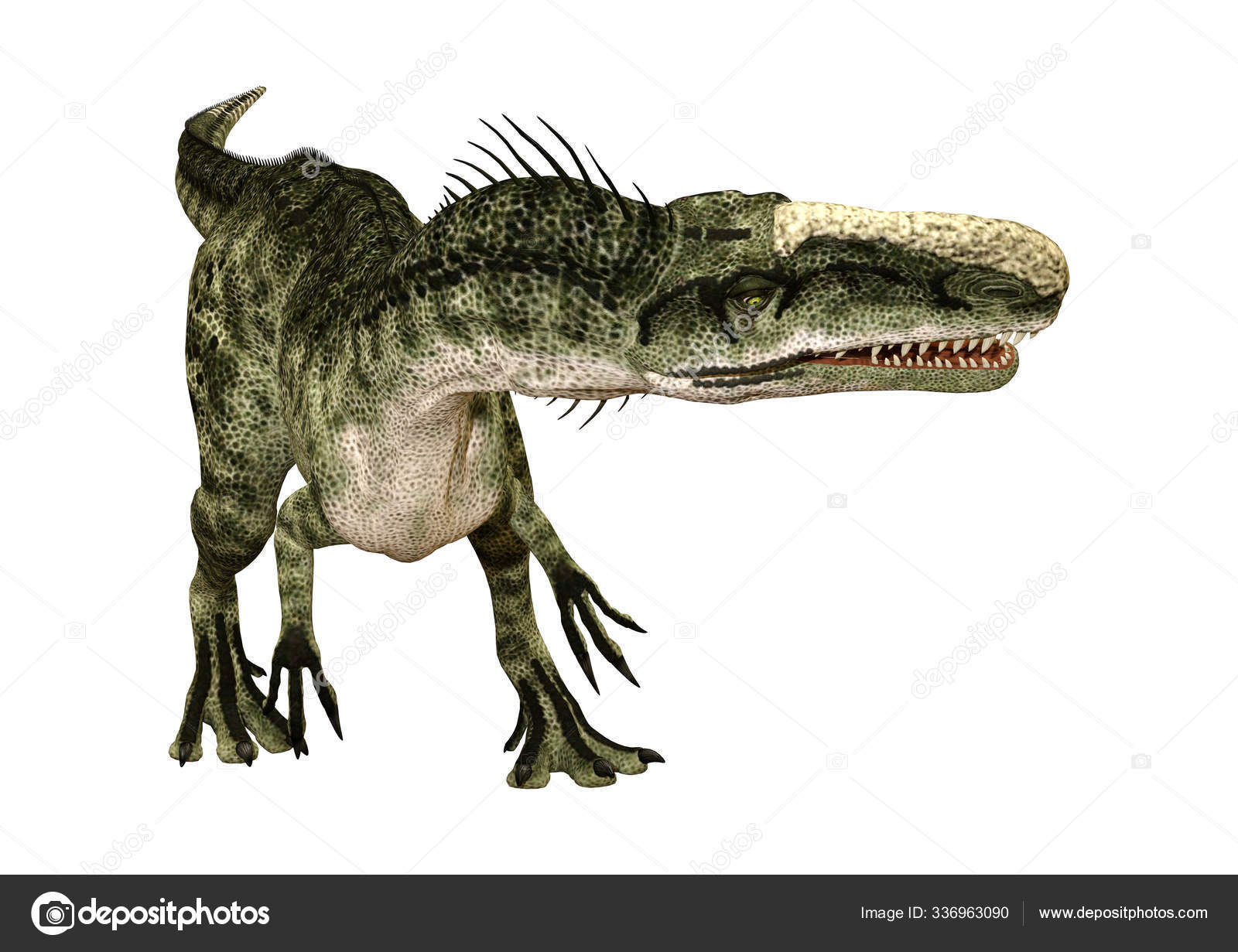 Rendering Dinosaur Monolophosaurus Isolated White Background Stock ...