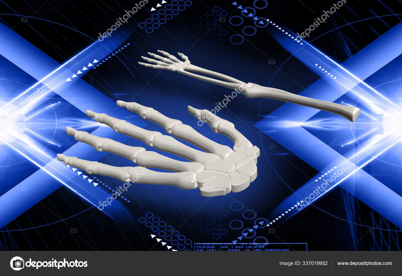 Digital Illustration Hand Bone Colour Background — Stock Photo ...