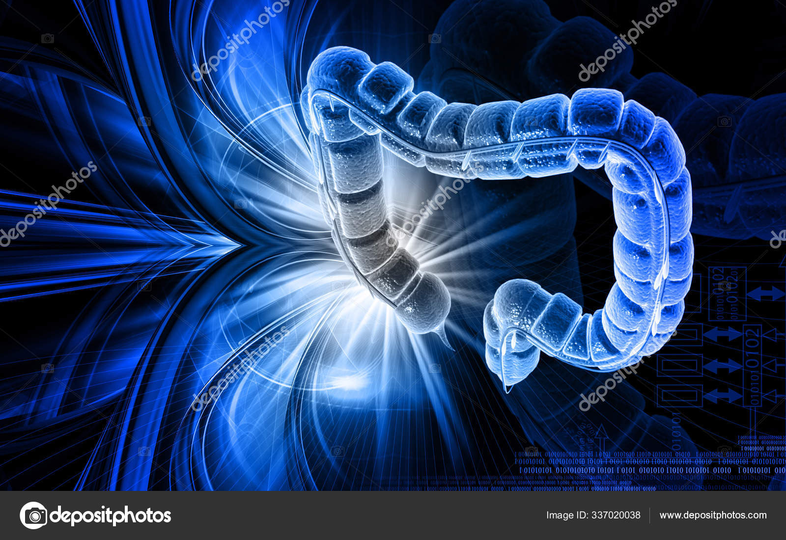 Digital Illustration Large Intestine Colour Background — Stock Photo ...