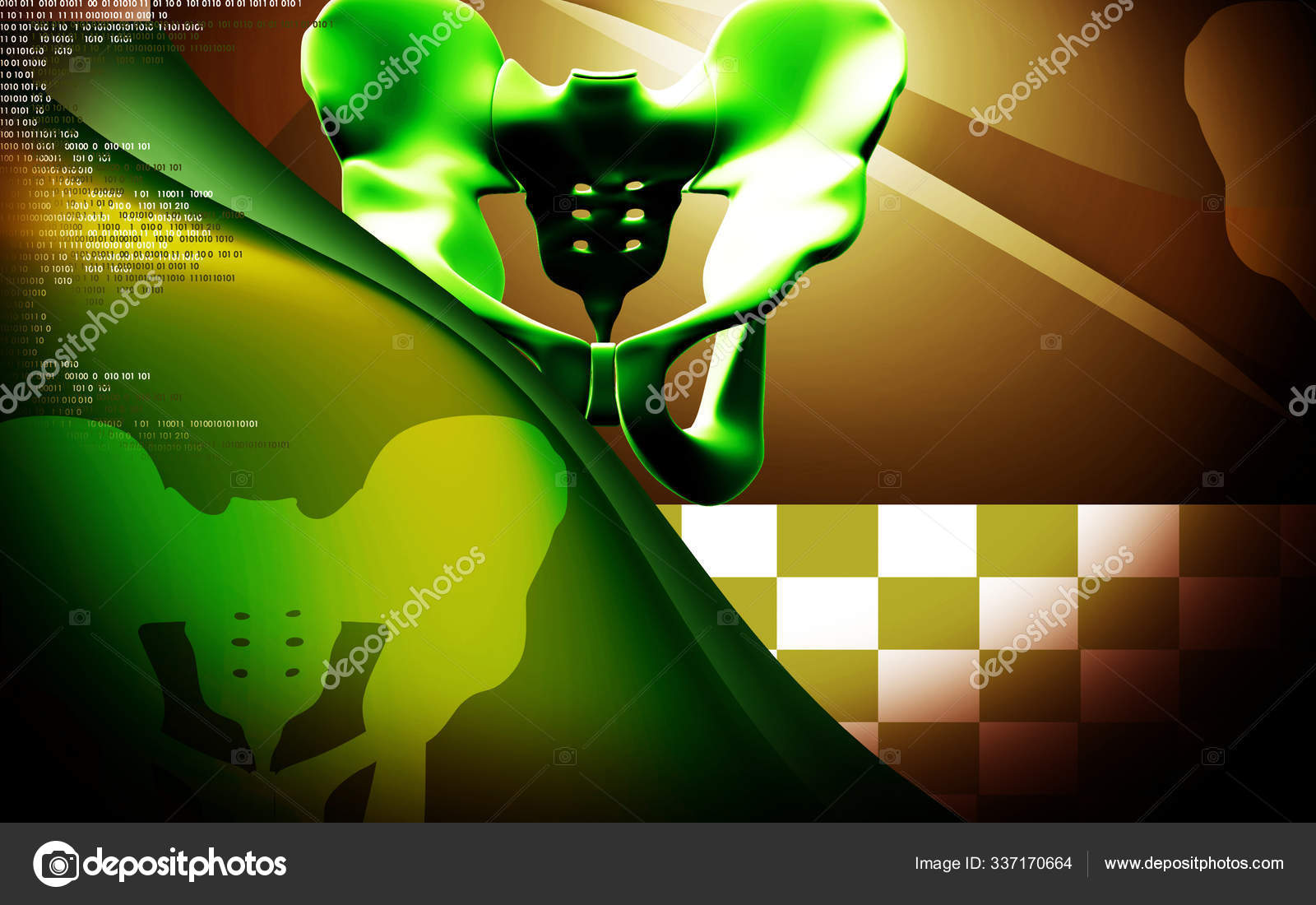 Digital Illustration Pelvic Girdle Colour Background Stock Illustration By ©panthermediaseller