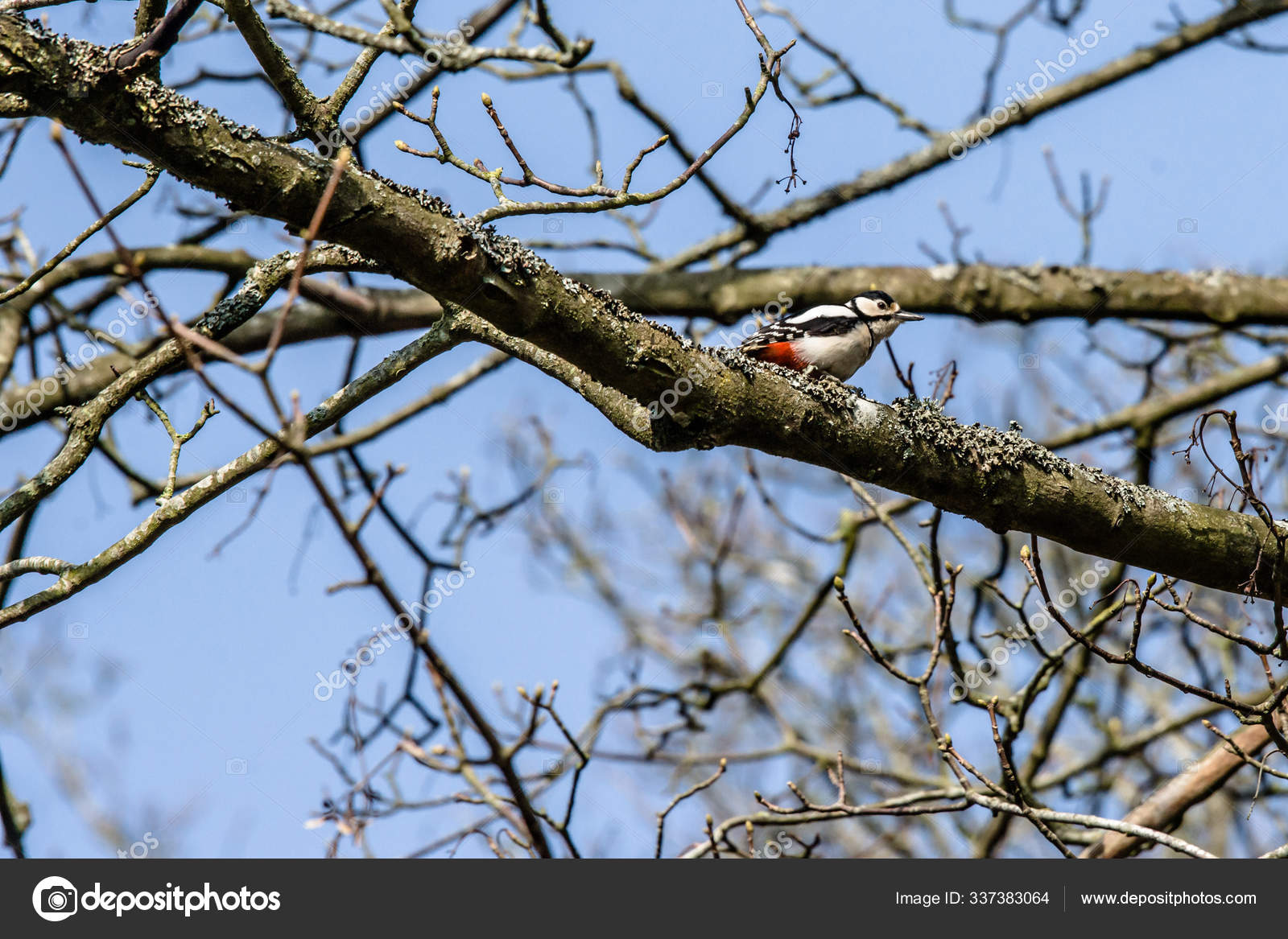 High Resolution Photo Best Quality — Stock Photo © PantherMediaSeller ...