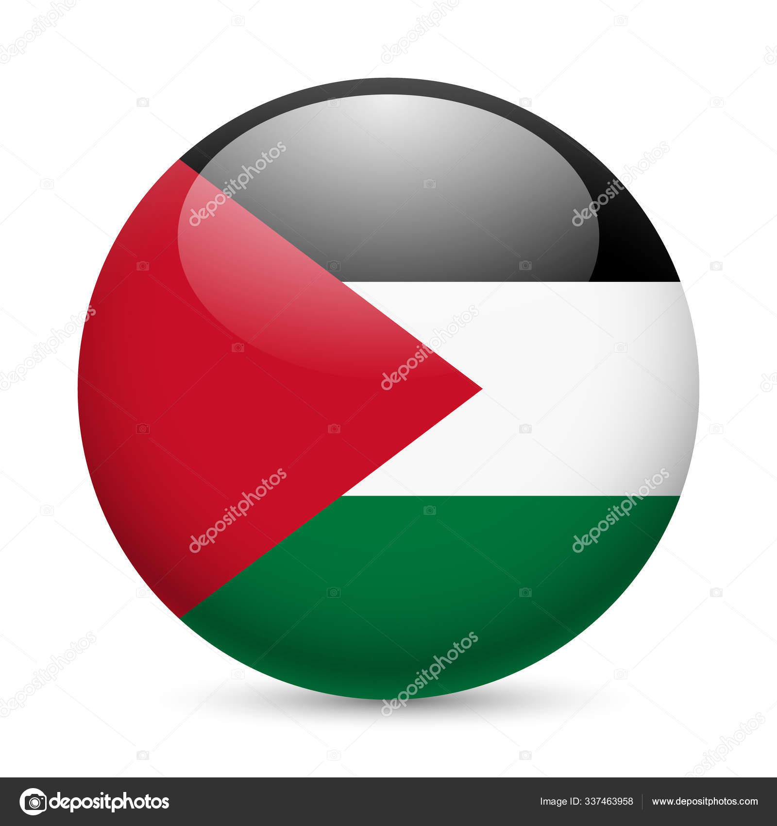 Flag Palestine Glossy Icon Button Palestinian Flag — Stock Photo ...