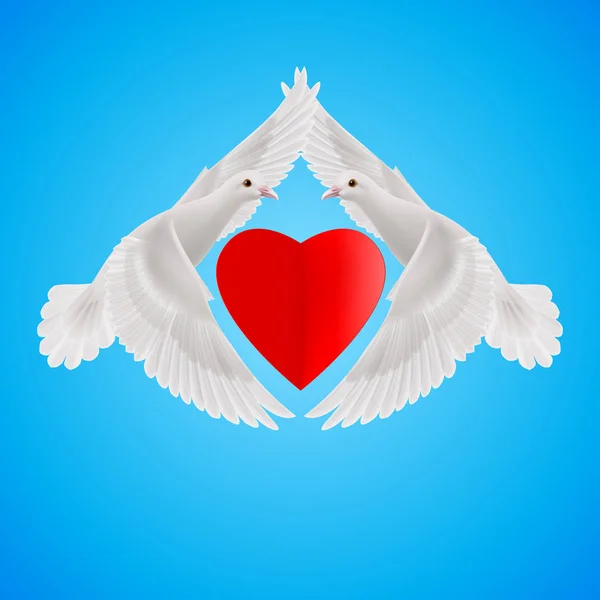 Dos Palomas Blancas Forma Las Alas Del Corazón Rojo Vector de stock por ...