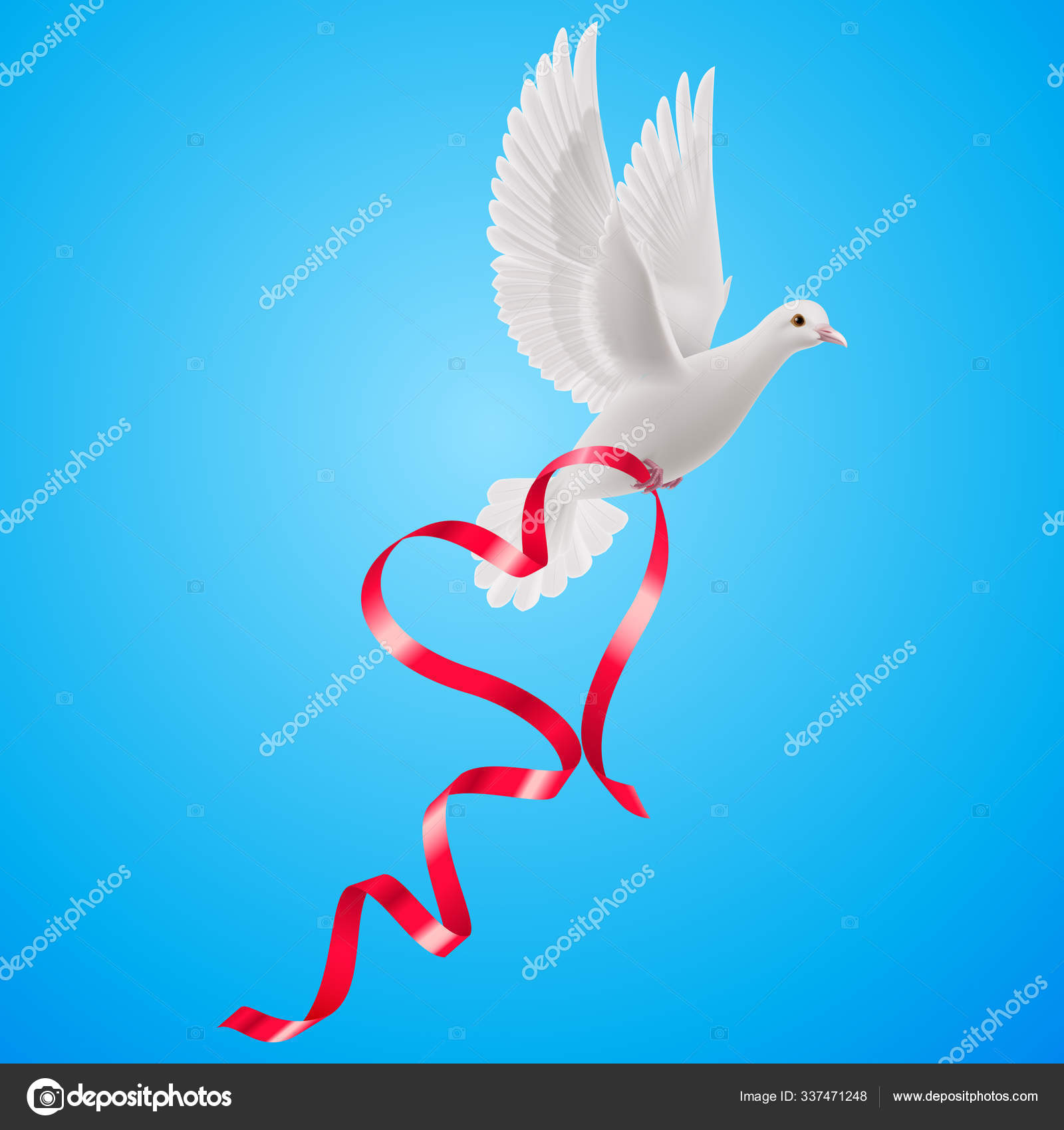 Dove Holding Ribbon