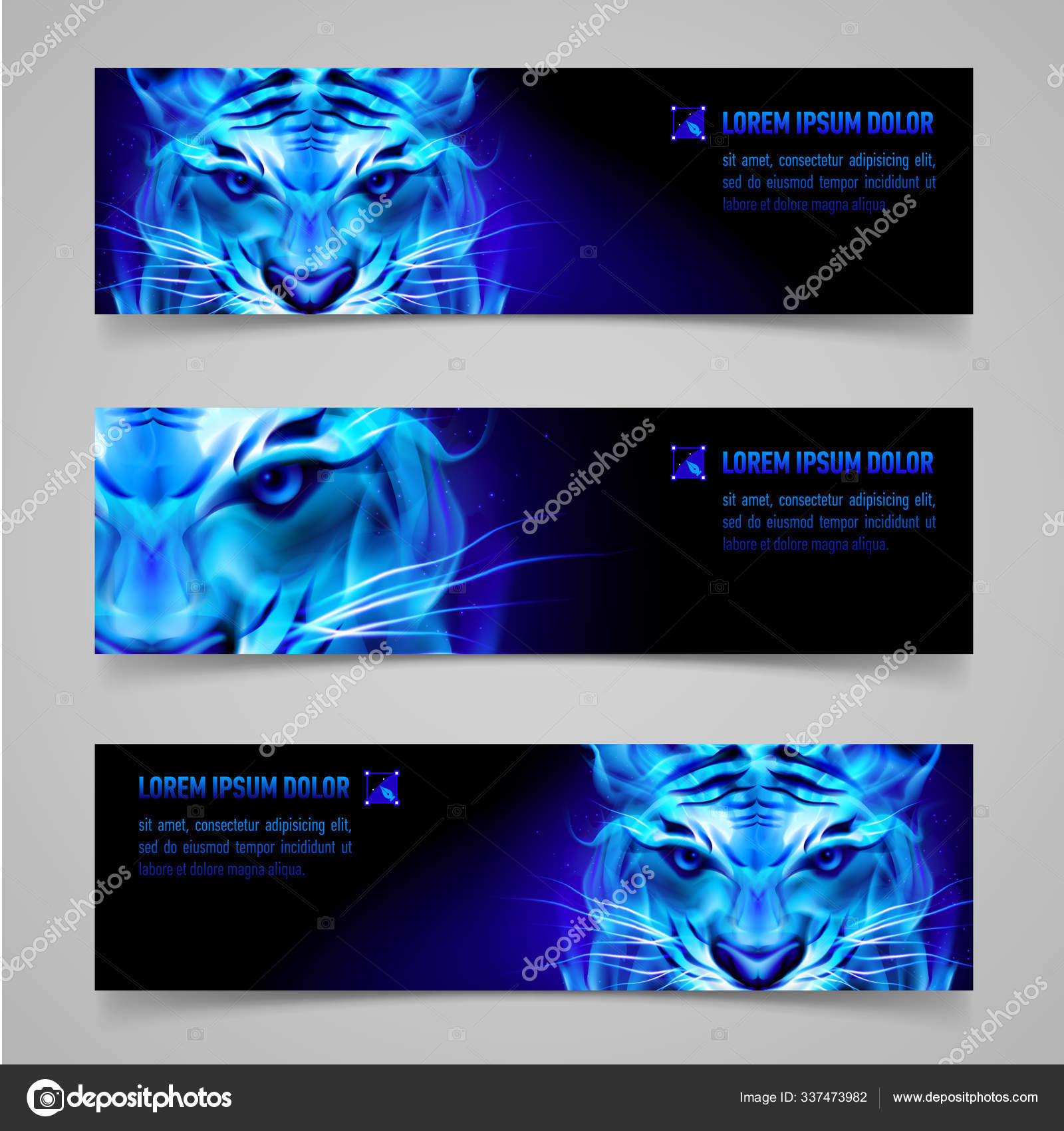 Set Banners Mystic Tiger Blue Flame — Stock Photo © PantherMediaSeller ...