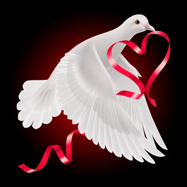 Dove backgrounds Stock Photos, Royalty Free Dove backgrounds Images ...