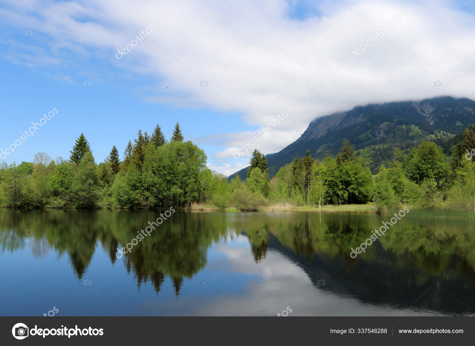 Marsh Pond Oberstdorf — Stock Photo © PantherMediaSeller #337546288