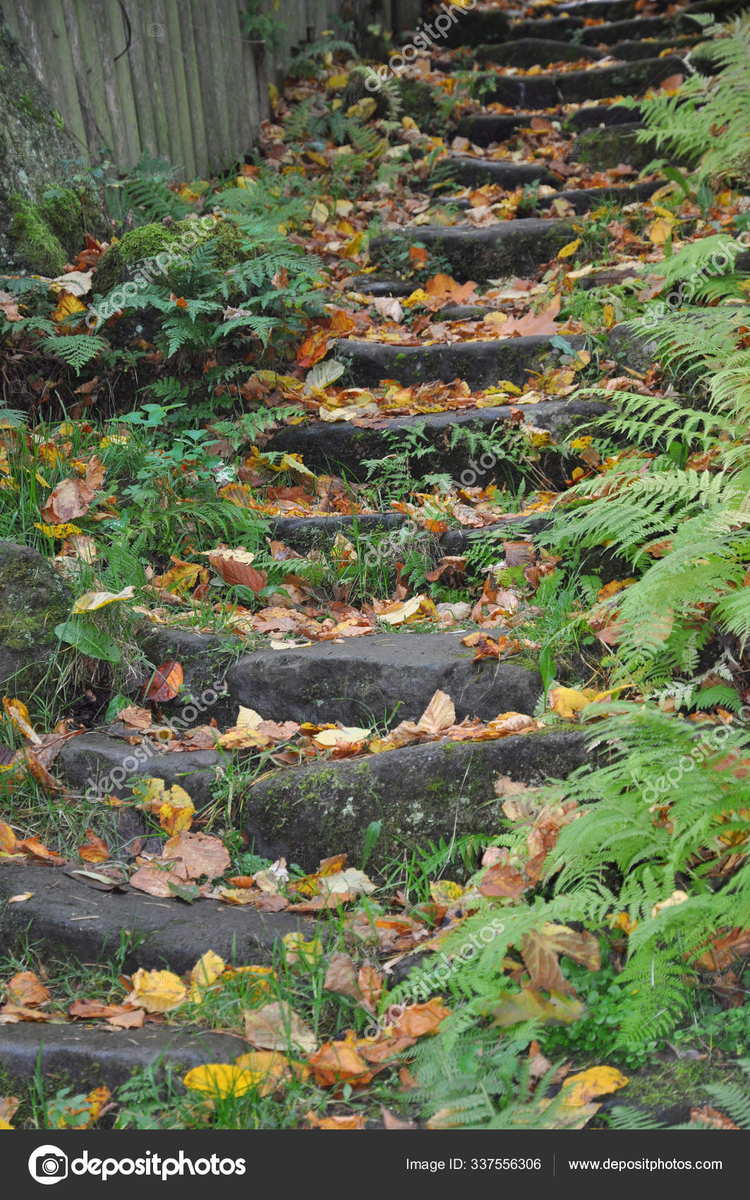 Stairs Wood Stone Stairway Path Footpath Path Steep Nature Stage ...
