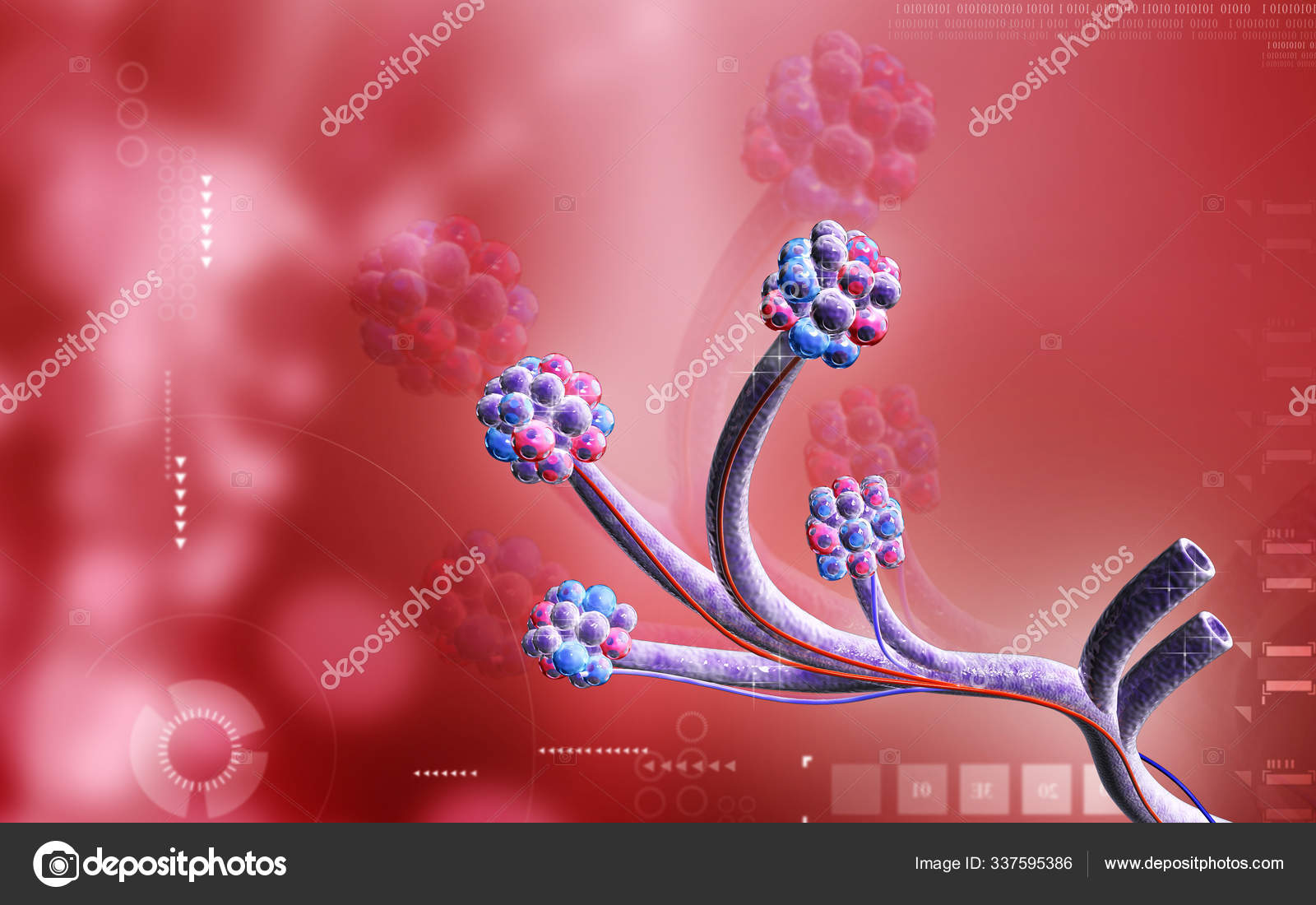 Digital Illustration Alveoli Colour Background Stock Photo by ...