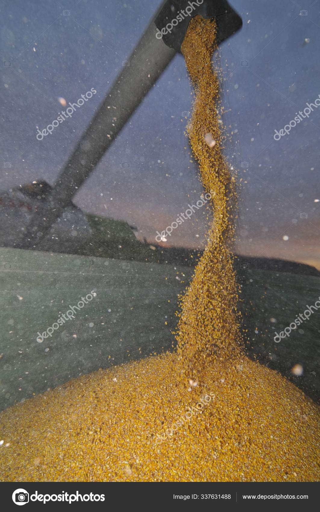 Ernte Maisernte Erntemaschine Mais Maisbauer Getreide Acker Kulturen ...