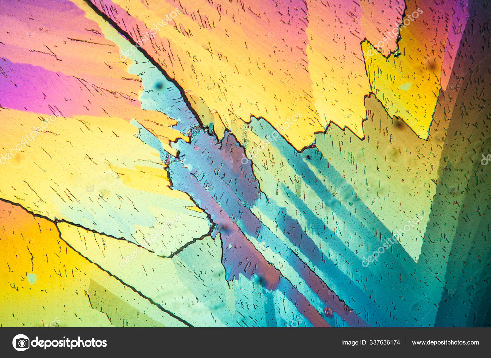 Crystals Polarized Light Microscopic Cells Texture Stock Illustration ...