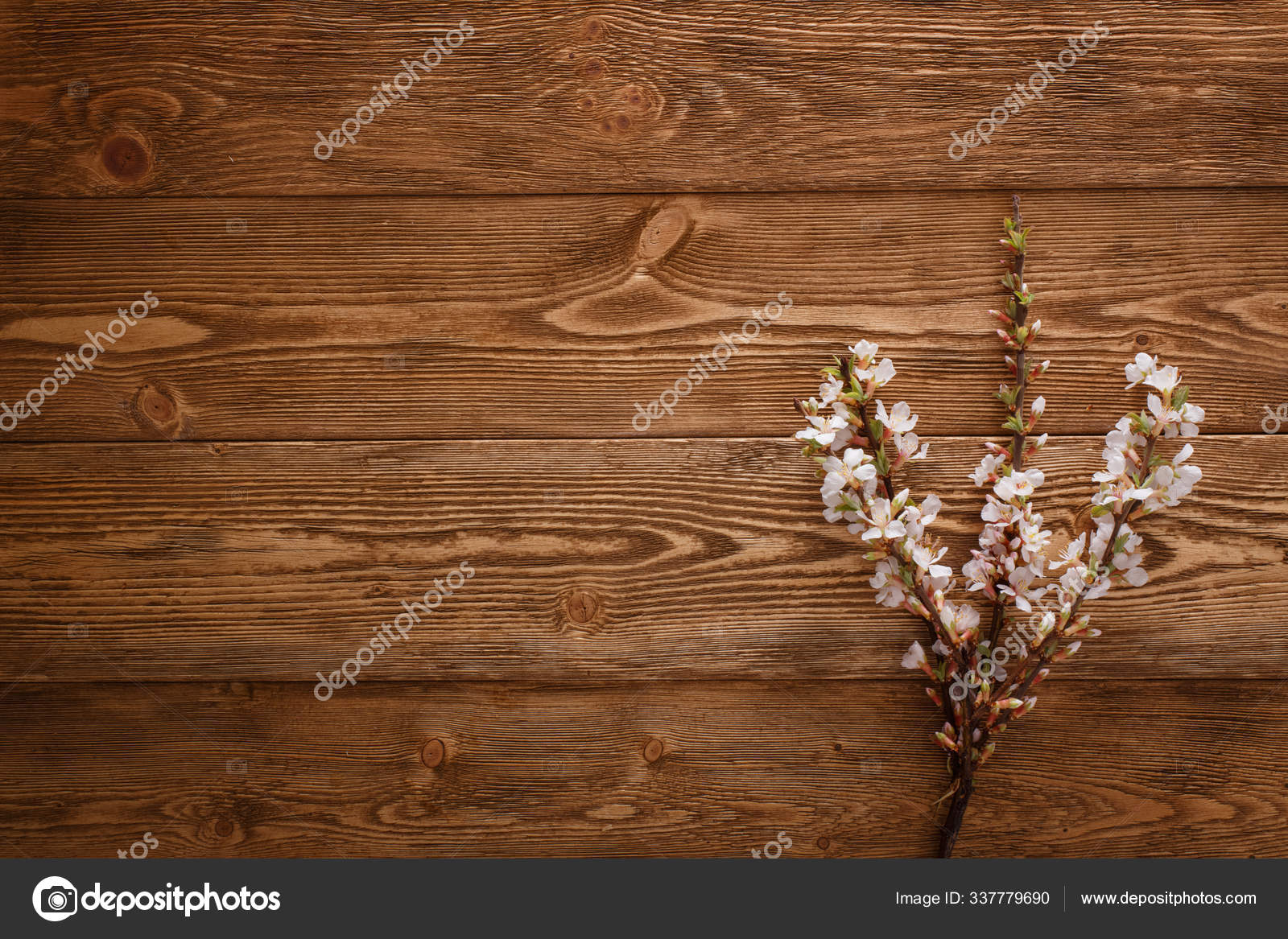 Flowers Wood Texture Background Copyspace Stock Photo by ...