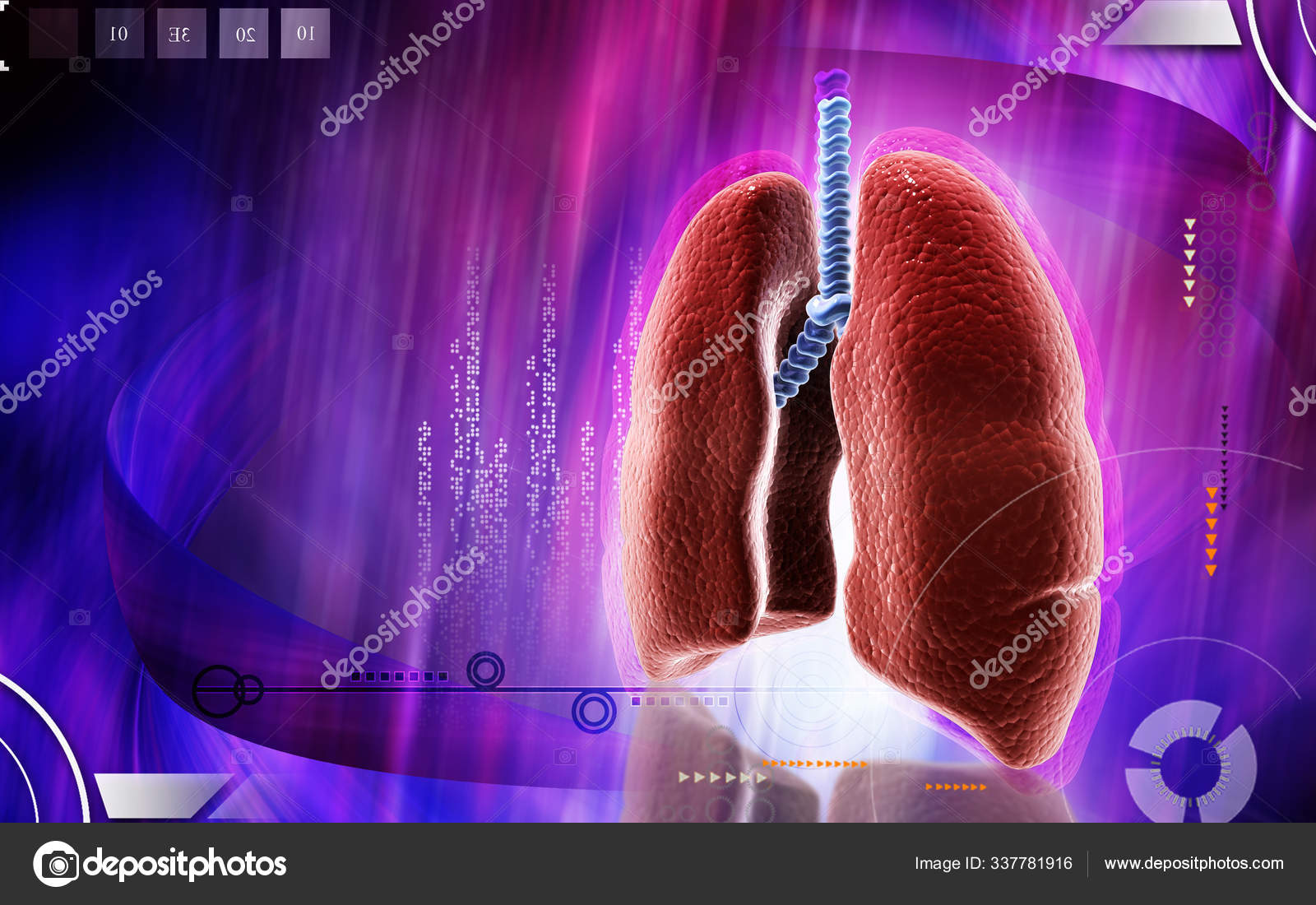 Digital Illustration Human Lungs Colour Background Stock Photo by ...