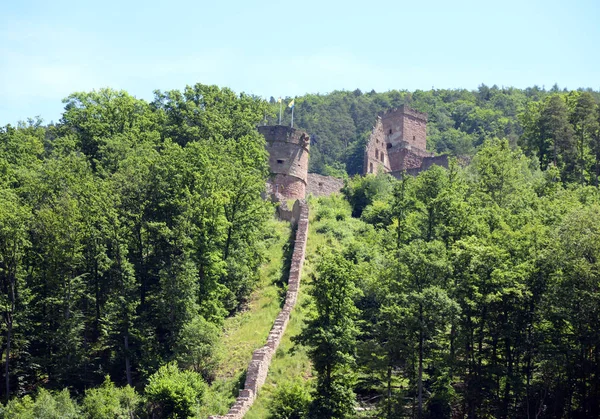 Freudenberg castle Stock Photos, Royalty Free Freudenberg castle Images ...