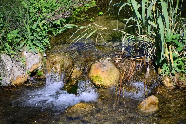 Manantial manantial de agua Stock Photos, Royalty Free Manantial ...