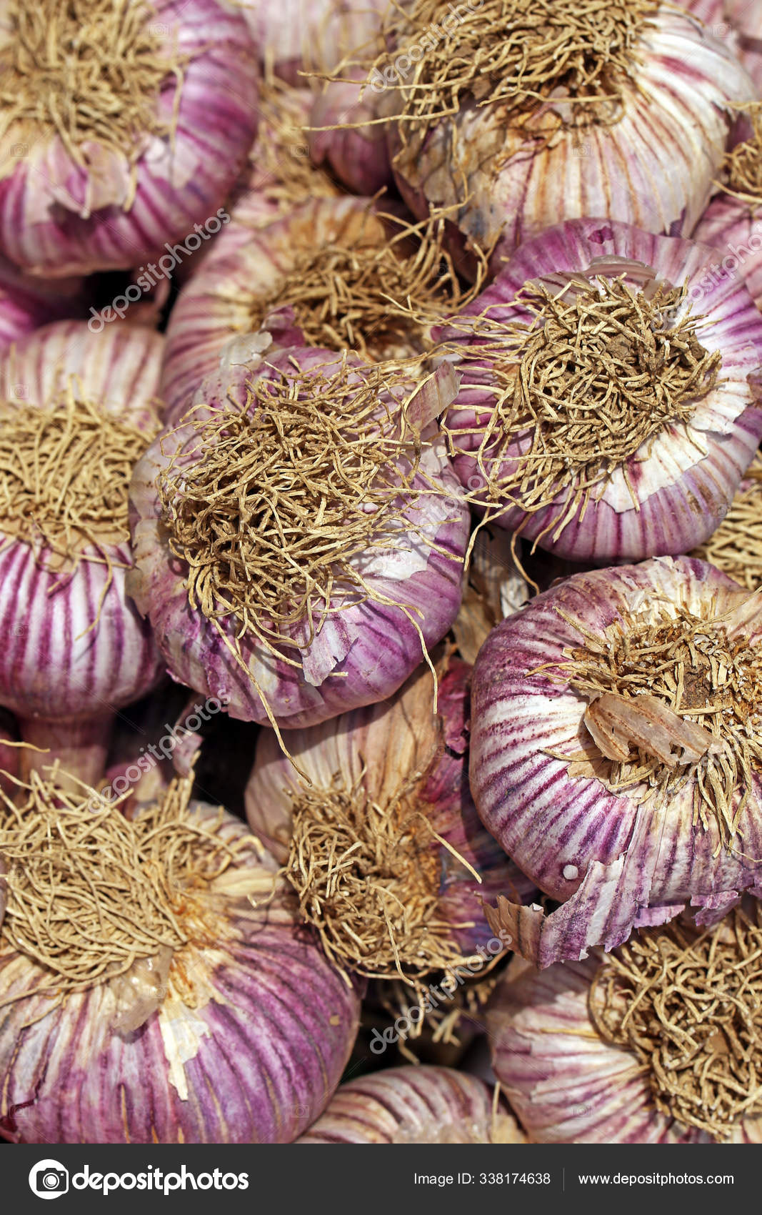 Red Garlic Macro Shot — Stock Photo © PantherMediaSeller #338174638