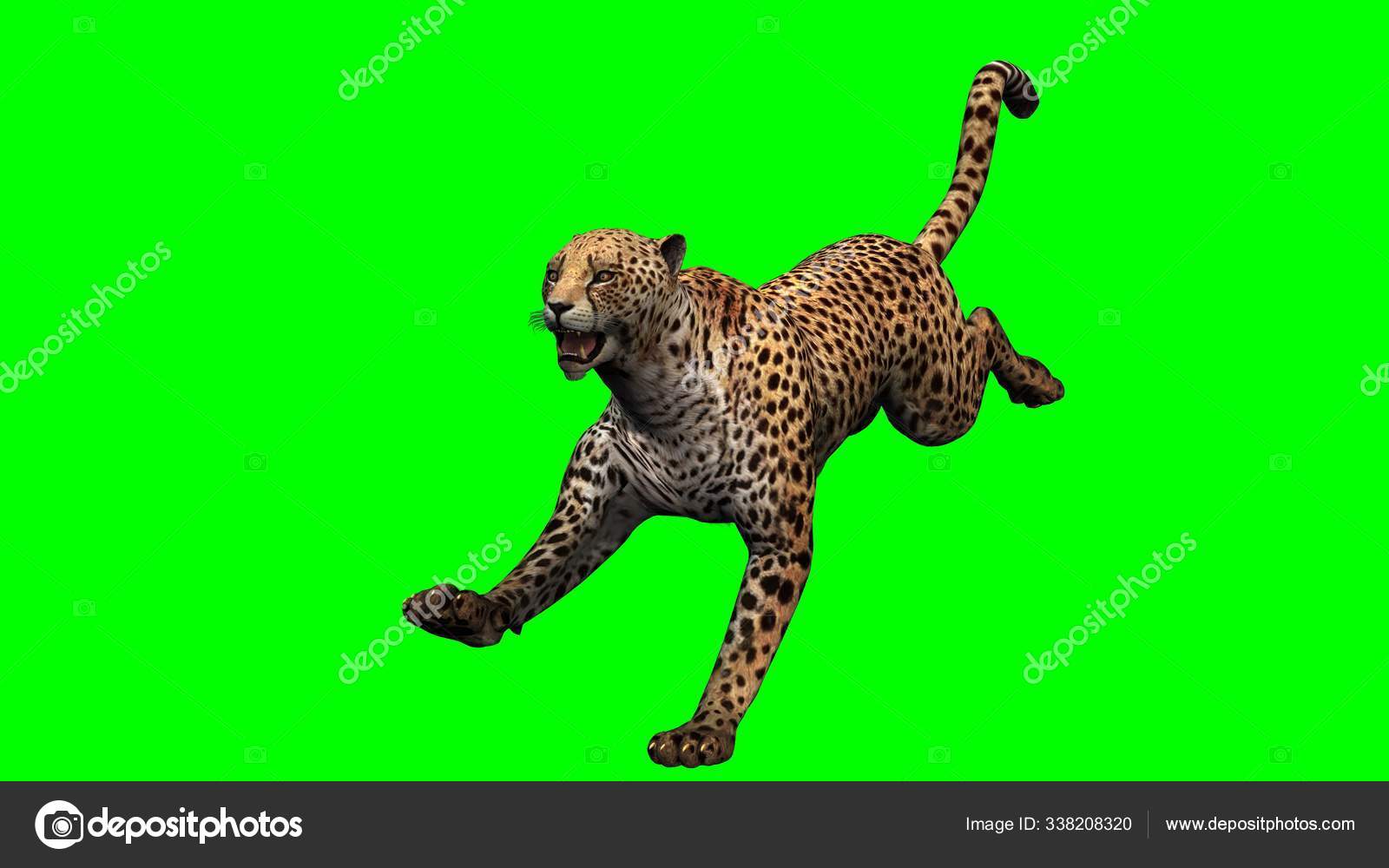 Cheetah Green Background — Stock Photo © PantherMediaSeller #338208320