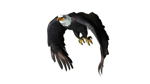 Nazi Symbol Eagle Wallpaper