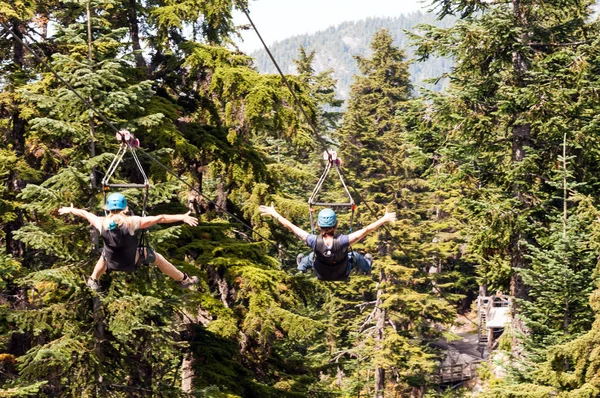 Zip Lining on Grouse Mountain near Vancouver - Stock Image - Everypixel