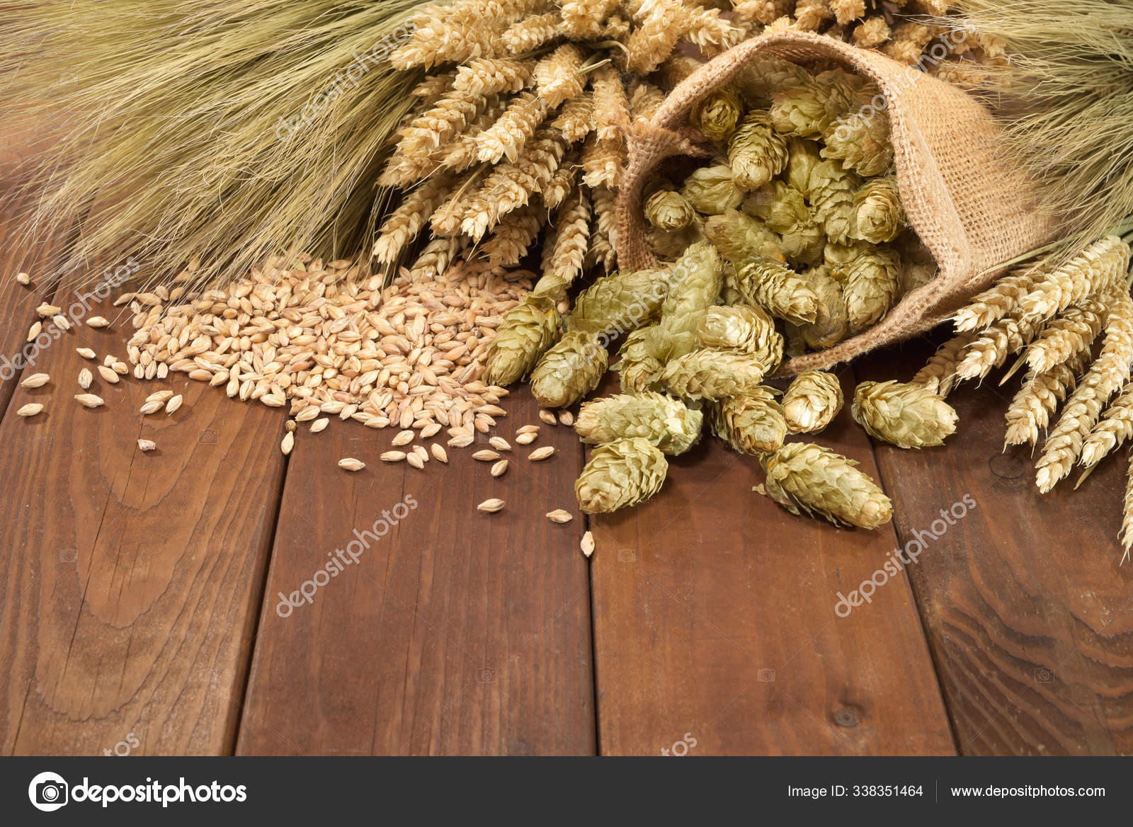 Beer Products Wheat Barley Hops Malt — Stock Photo © PantherMediaSeller ...