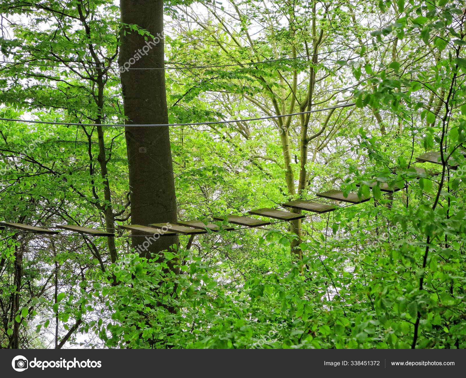 High Rope Course Forest — Stock Photo © PantherMediaSeller #338451372