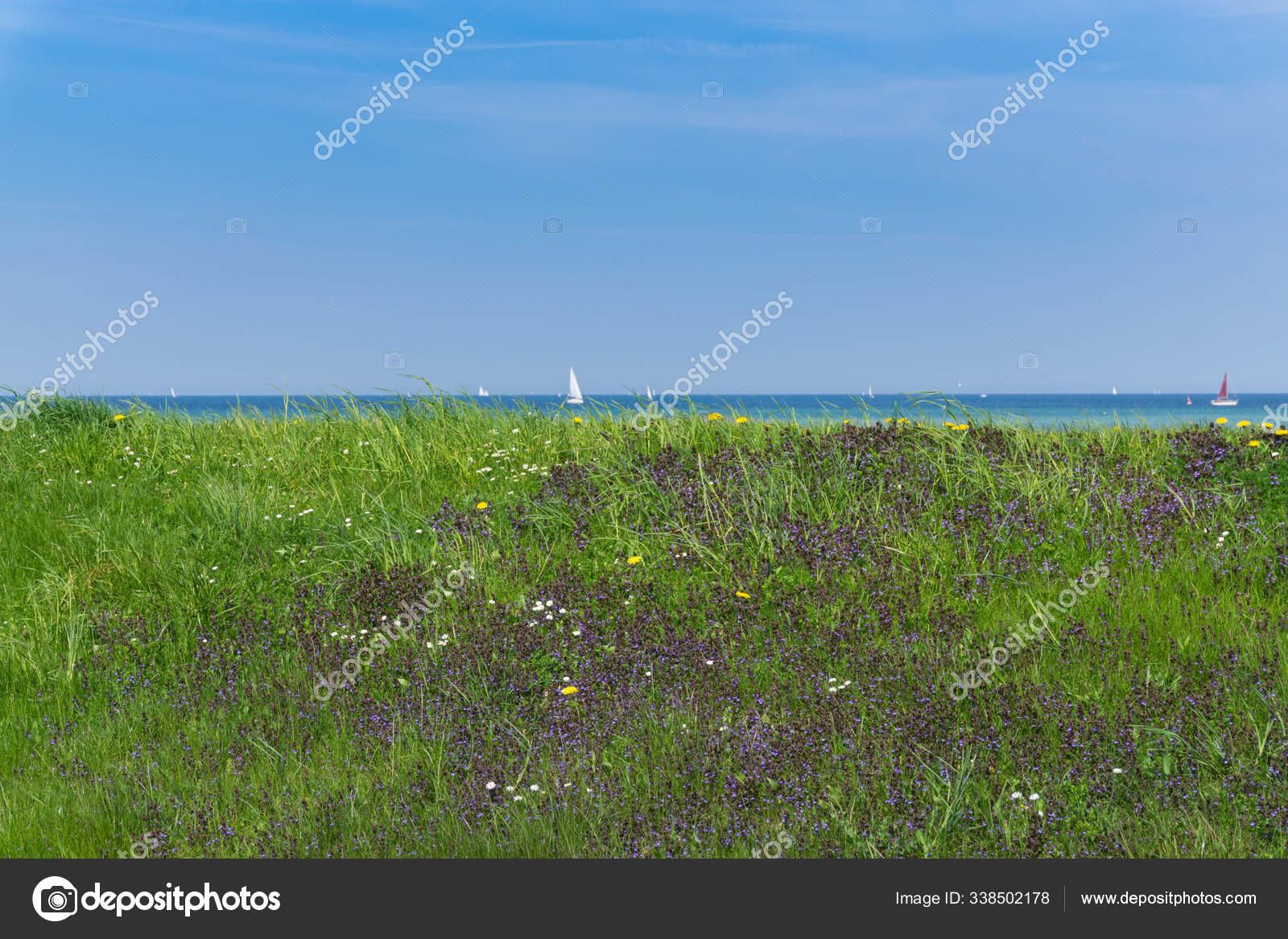 Green Dike Sail Ships Background Germany Baltic Sea — Stock Photo ...