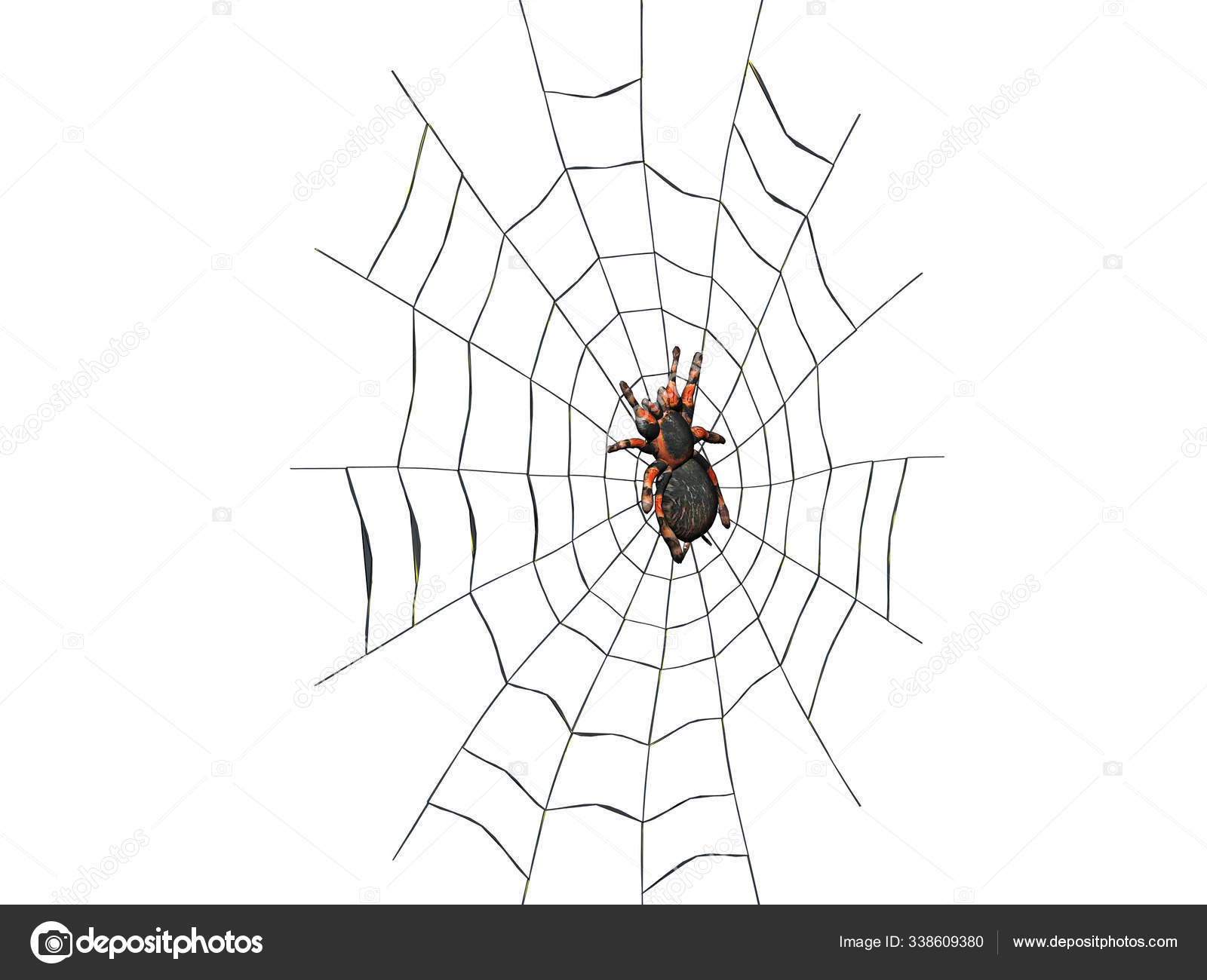 Tarantula Scary Danger Insects — Stock Photo © PantherMediaSeller ...