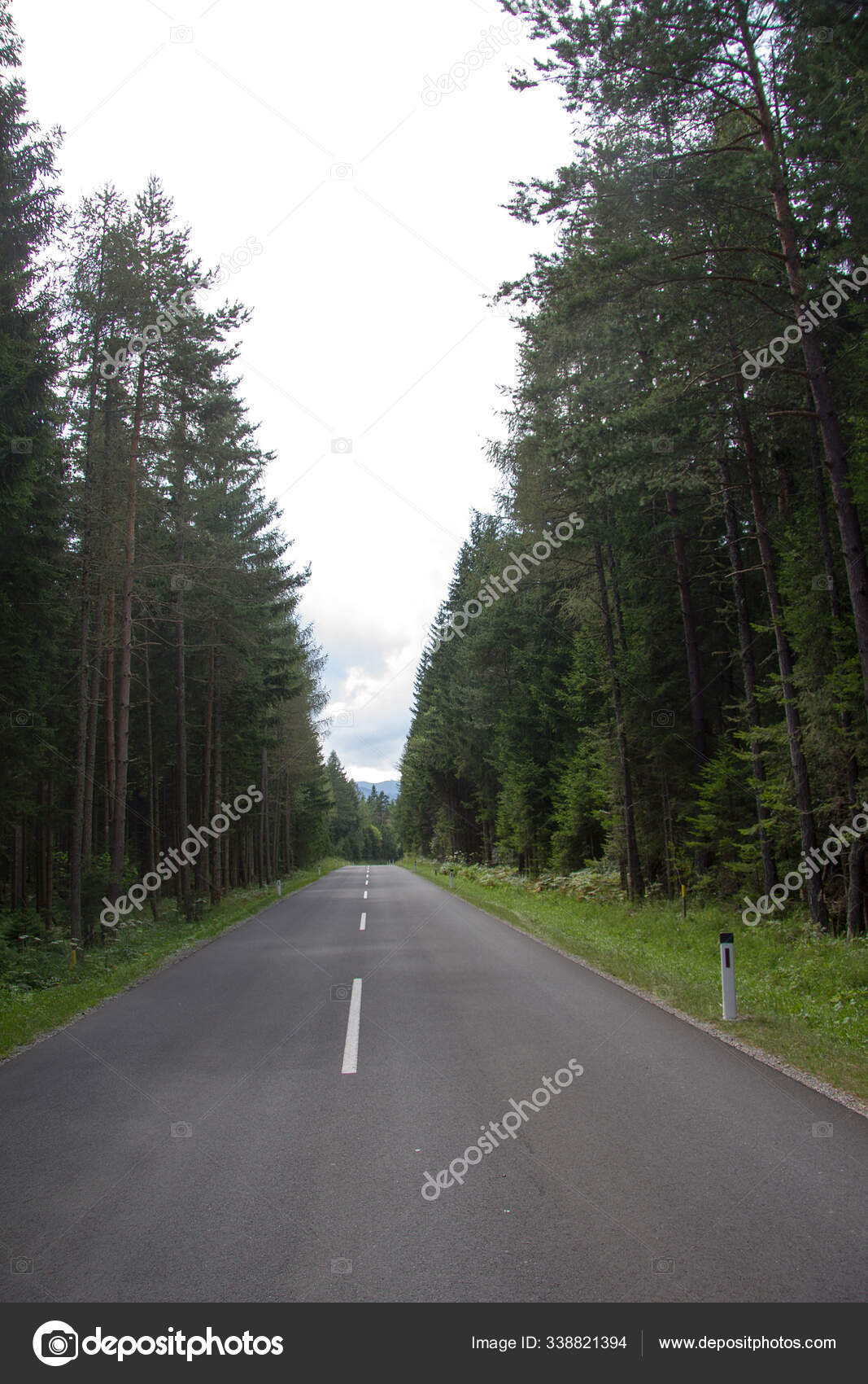New Paved Road Styria — Stock Photo © PantherMediaSeller #338821394