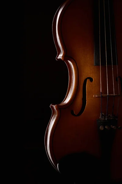 Violin Black Background Stock Photo by ©PantherMediaSeller 339903512