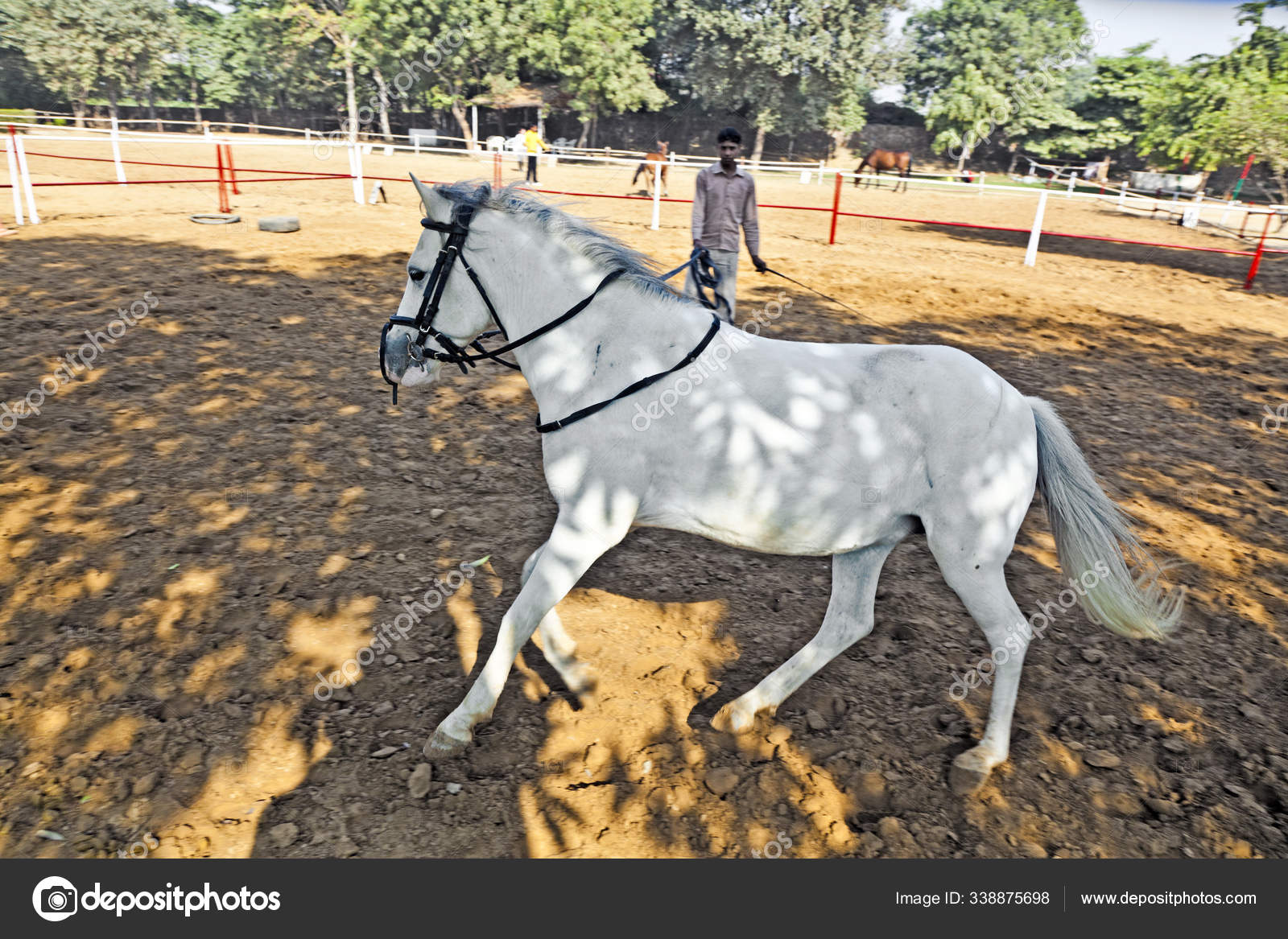 Cavalier Forme Cheval Dans Cours Équitation — Photographie ...