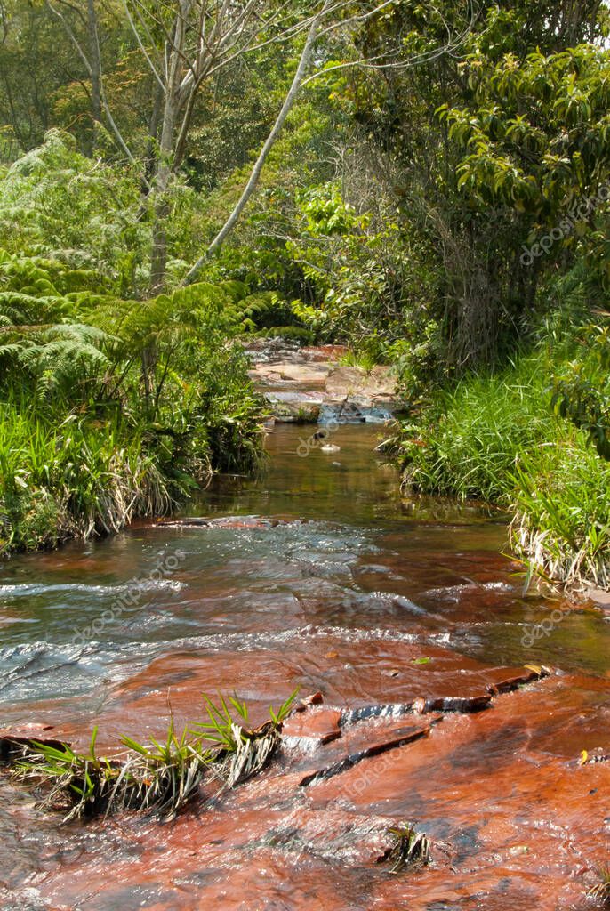 Uno de los pequeños ríos que cruzan la Gran Sabana, Parque Nacional ...