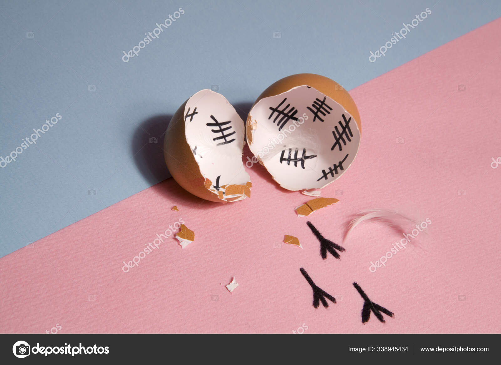 Counting Days Broken Egg Footprint Pink Blue Background — Stock Photo ...