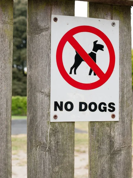No dogs signs Stock Photos, Royalty Free No dogs signs Images ...