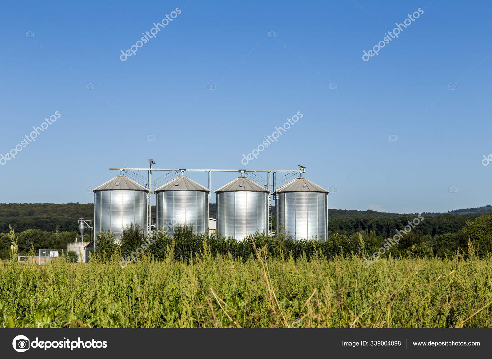 Four Silver Silos Field Bright Blue Sky Stock Photo by ...