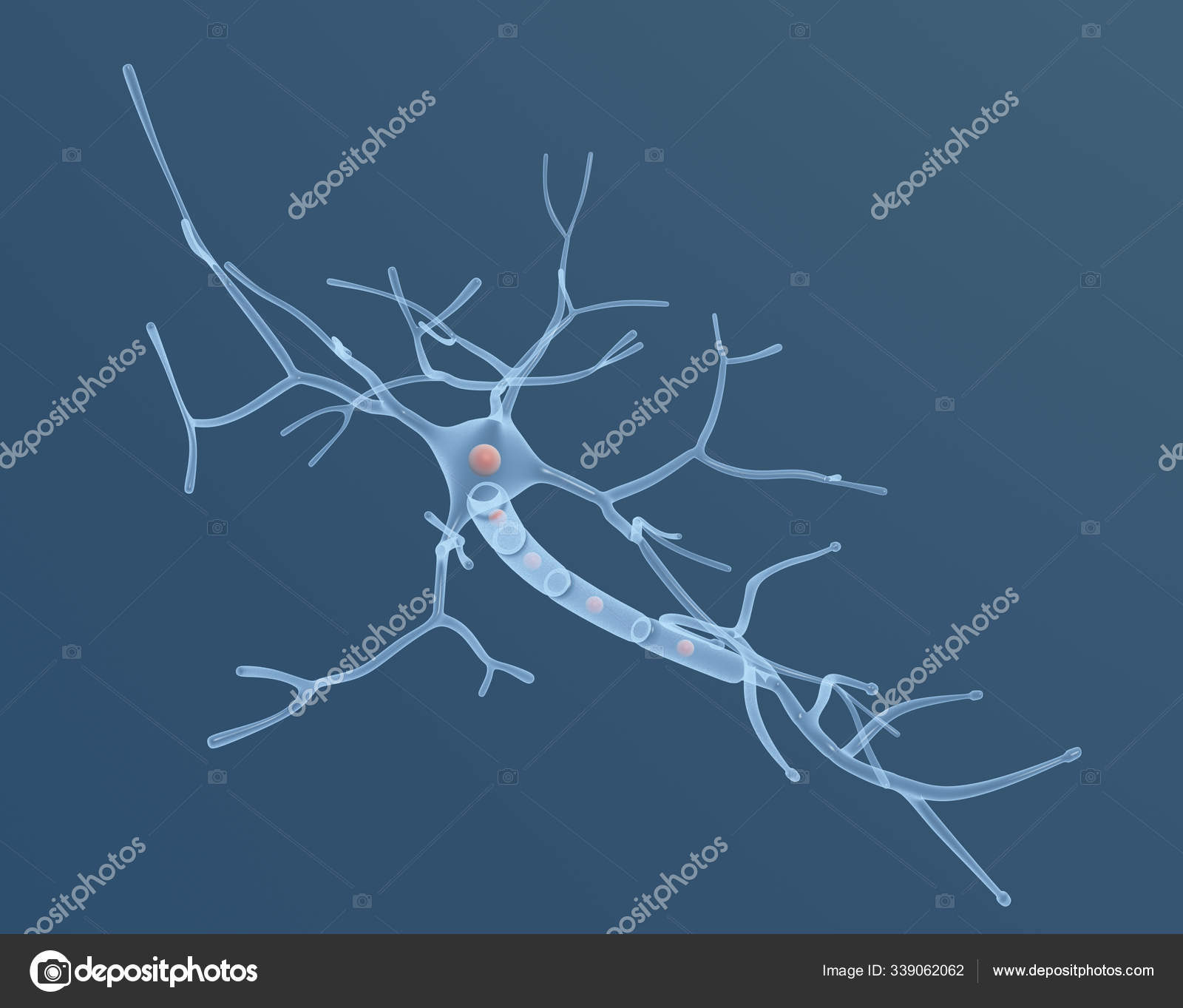 Brain Cells Microscope Science Stock Photo by ©PantherMediaSeller 339062062