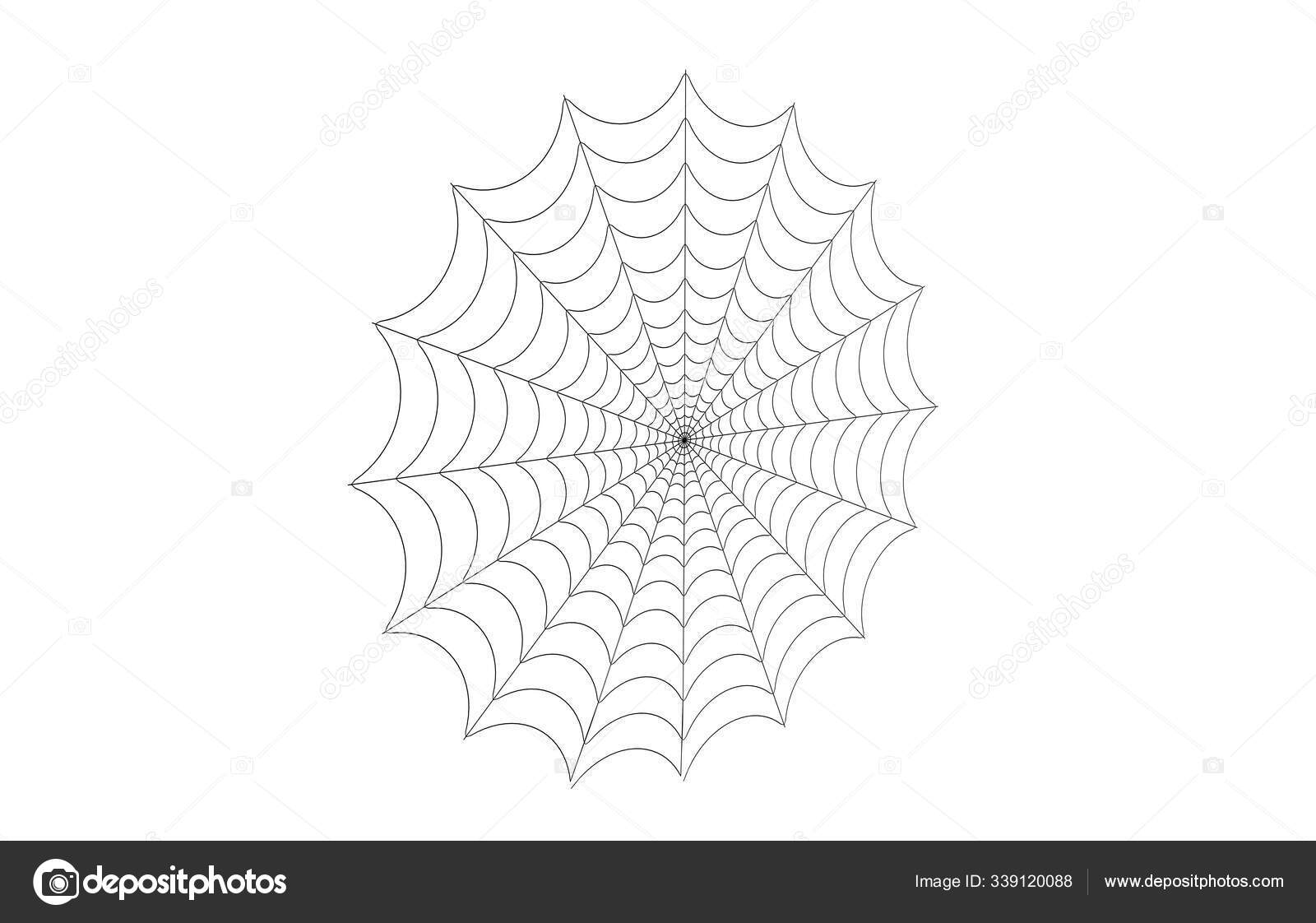 Spider Cobweb Trap Insect — Stock Photo © PantherMediaSeller #339120088