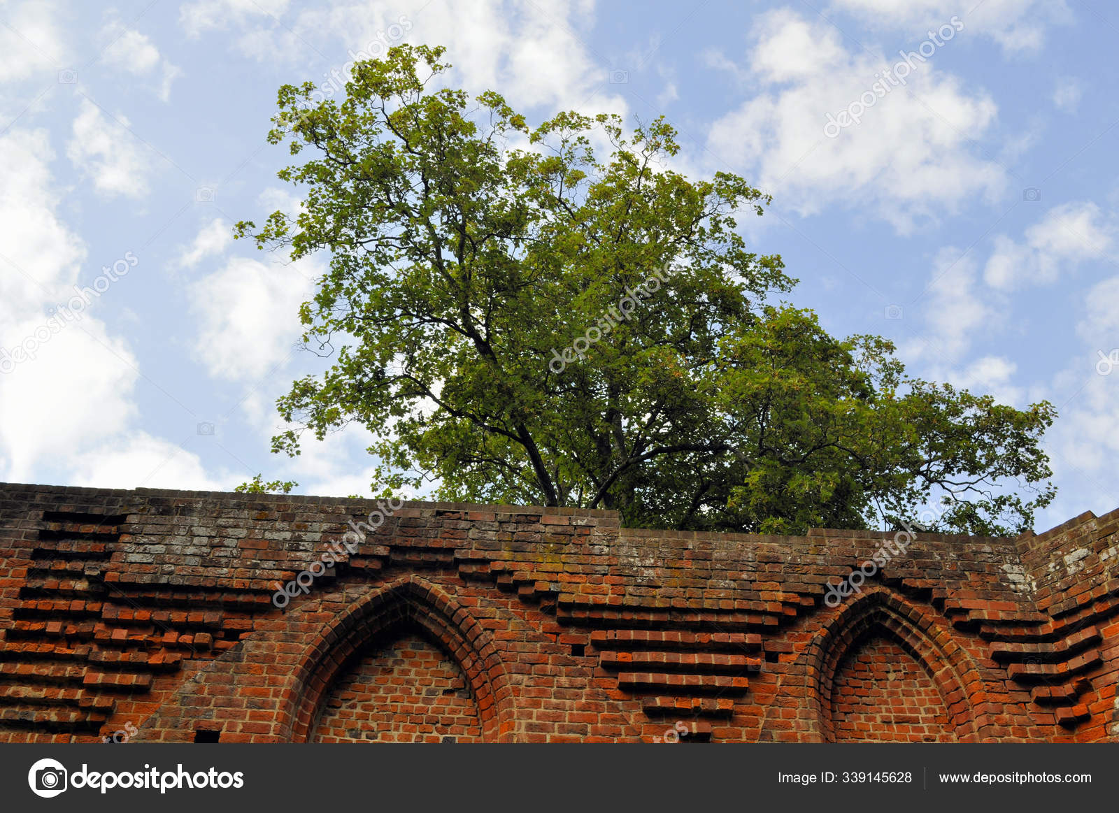 Detail Gothic Brick Facade Monastery Ruin Boitzenburg Sky Tree Stock ...