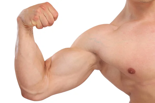 Sinewy muscle Stock Photos, Royalty Free Sinewy muscle Images ...