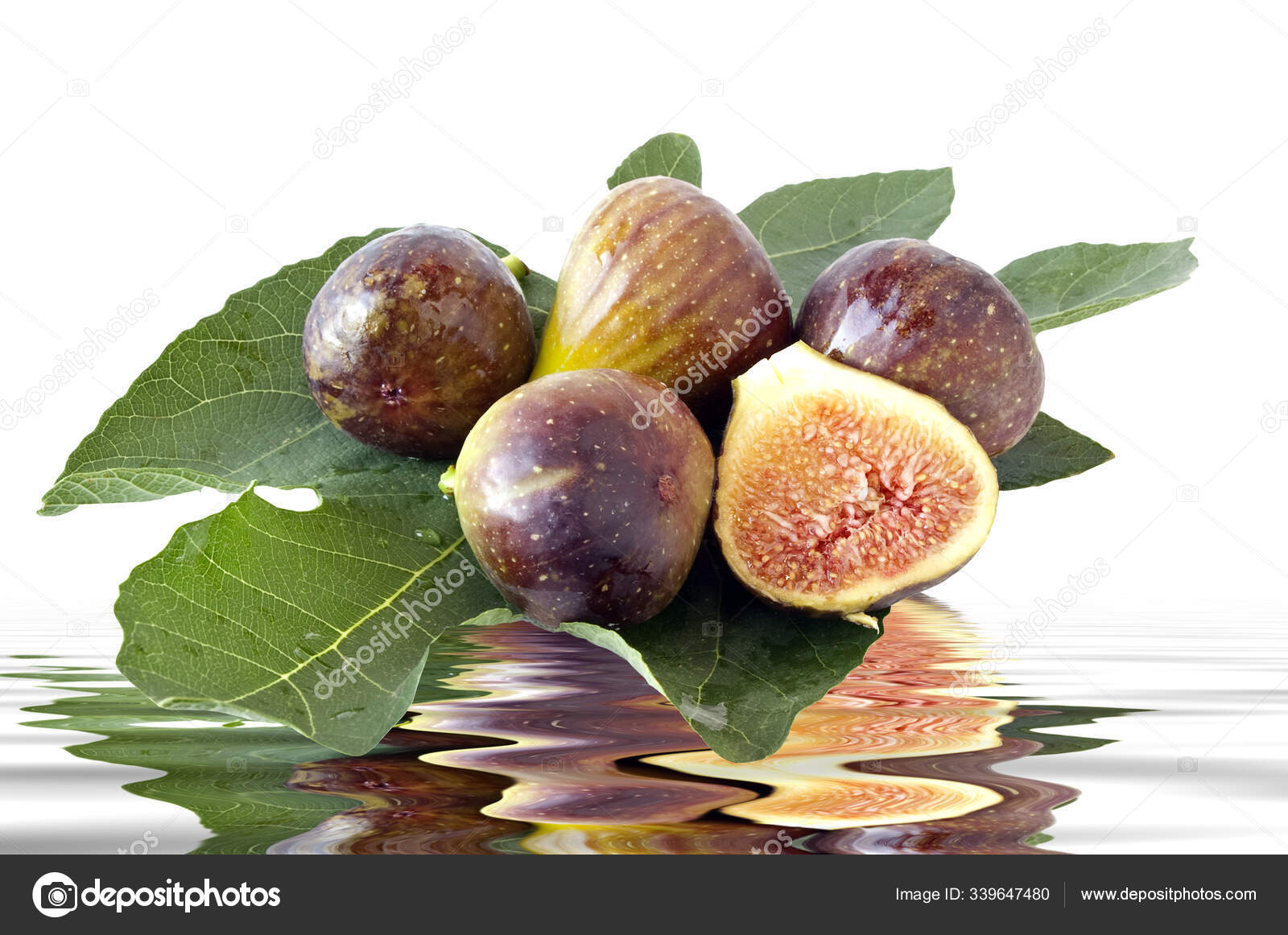 Freshly Picked Figs Water — Stock Photo © PantherMediaSeller #339647480