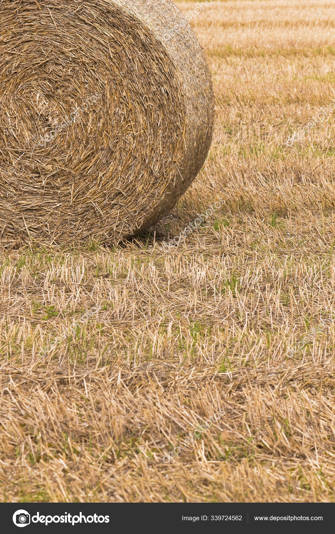 Single Straw Bales Field — Stock Photo © PantherMediaSeller #339724562