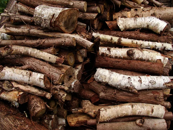 Types of firewood Stock Photos, Royalty Free Types of firewood Images ...